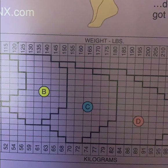 SPANX | Accessories | Spanx Panty Hose | Poshmark